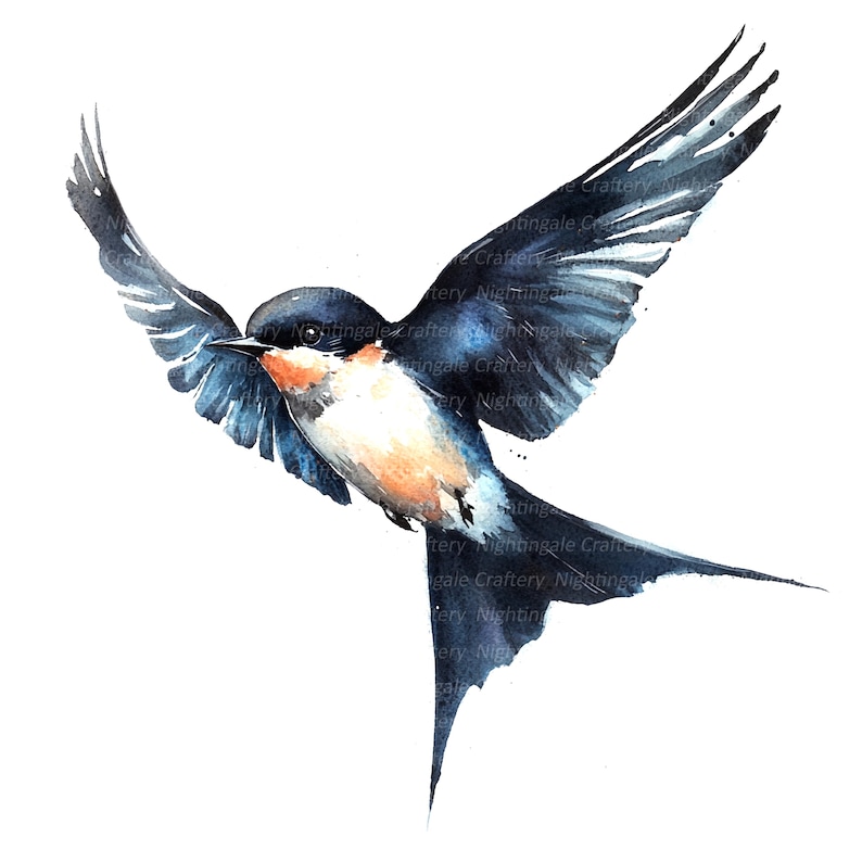 12 Schwalben Clipart, Schwalbe Vogel, druckbare Aquarell Clipart ...