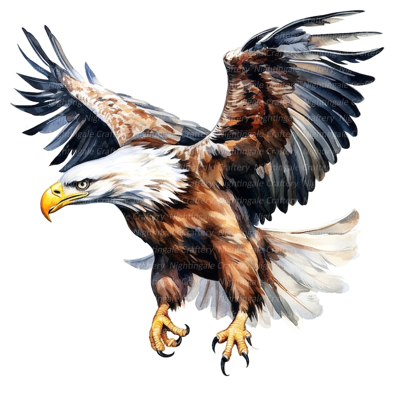 12 Eagle Clipart Bald Eagle Printable Watercolor Clipart - Etsy
