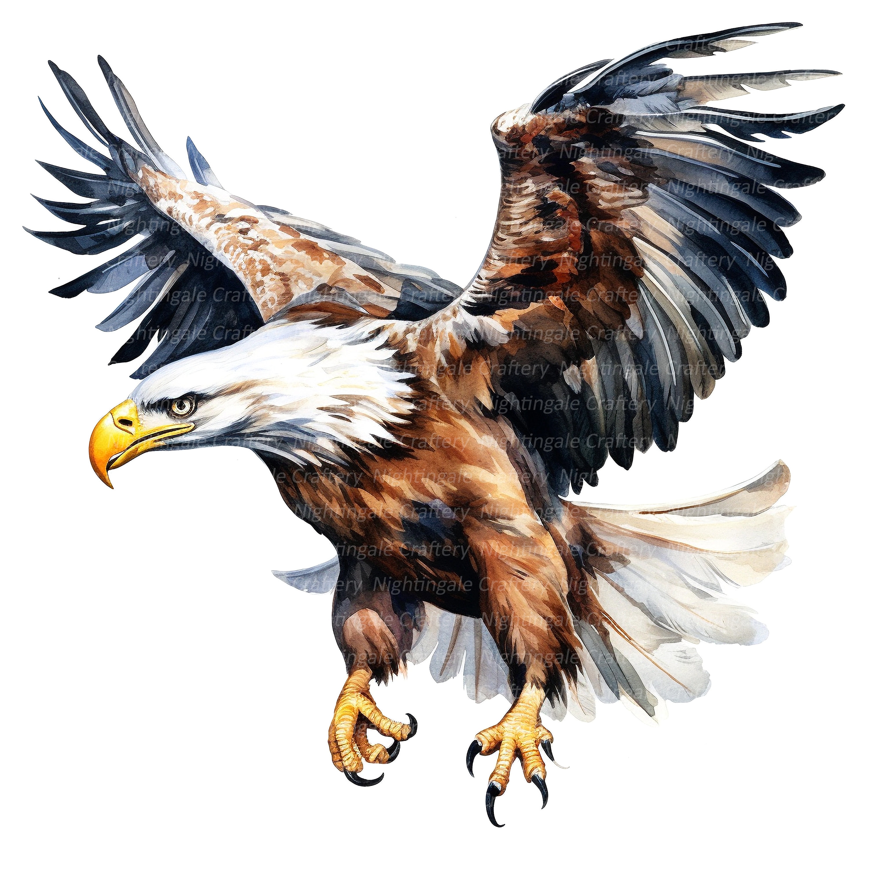 12 Eagle Clipart Bald Eagle Printable Watercolor Clipart - Etsy Australia