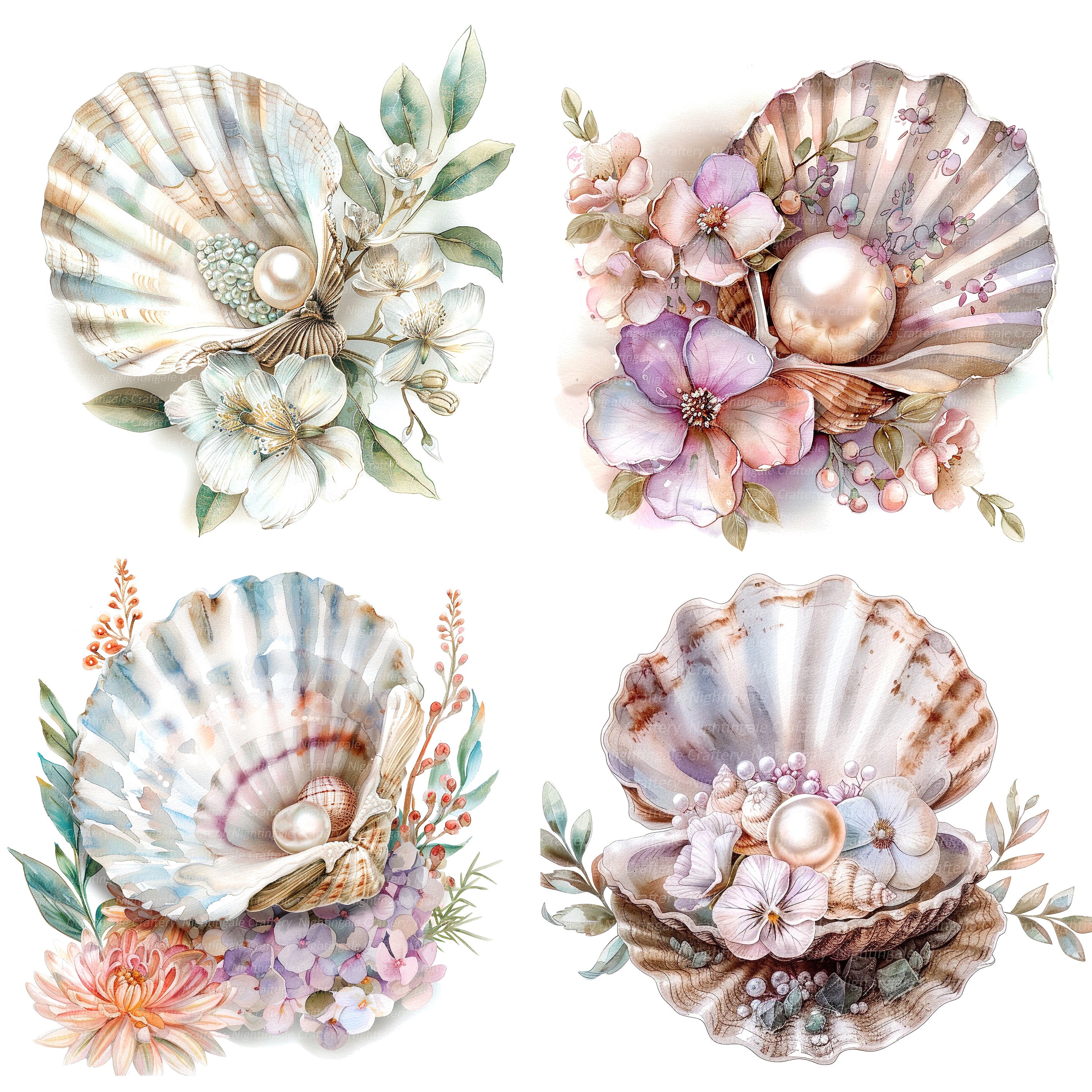 16 Sea Shells Clipart, Seashell Pearls Clipart, Printable Watercolor ...