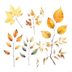 14 Autumn Leaves Boho Style Clipart, Boho Fall Printable Watercolor ...