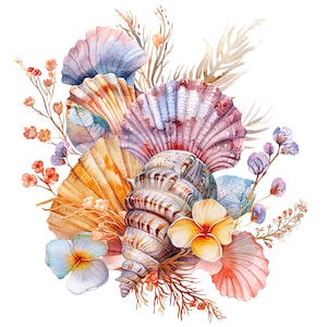 10 Floral Seashells Clipart, Sea Shells Clipart, Printable Watercolor ...