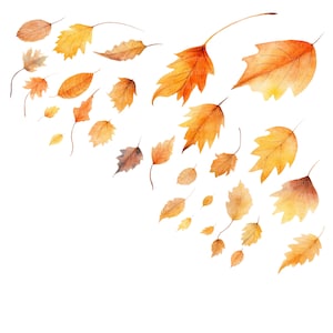 12 Falling Autumn Leaves Clipart, Fall Leaves, Printable Watercolor ...