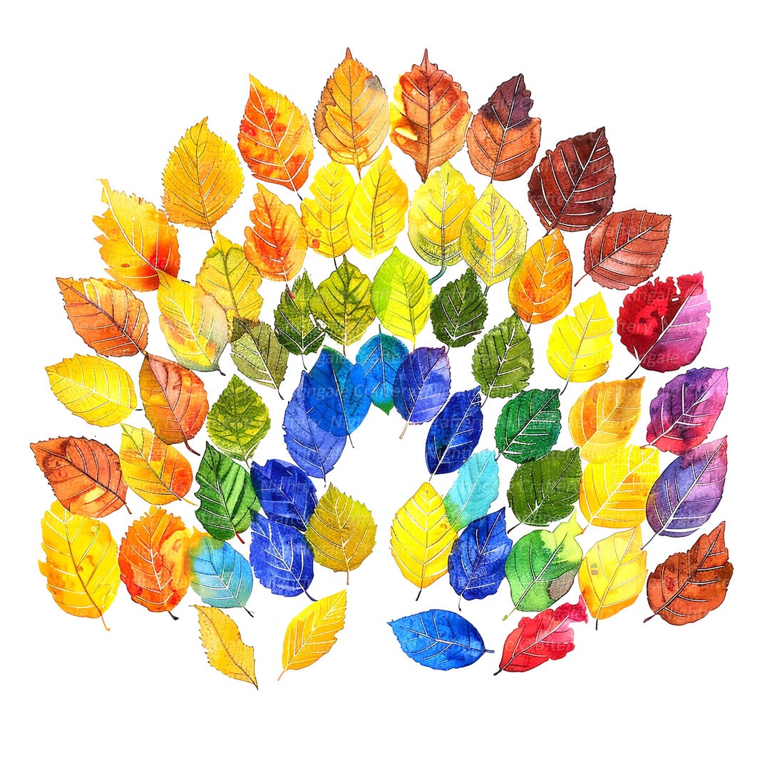 11 Autumn Leaves Clipart, Rainbow Clipart, Printable Watercolor Clipart ...