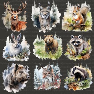 200+ Forest Animals Clipart Pack, 20 Collections, Printable Watercolor ...