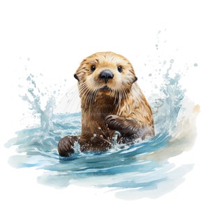 14 Otter Clipart, Sea Otter, Printable Watercolor Clipart, High Quality ...