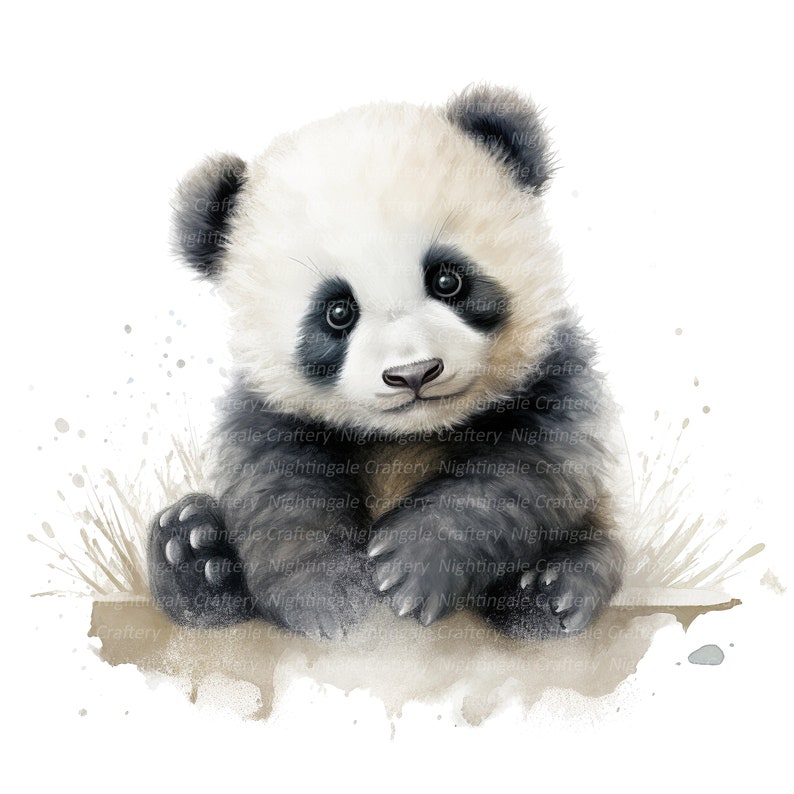 12 Panda Baby Clipart Printable Watercolor Clipart High - Etsy Australia