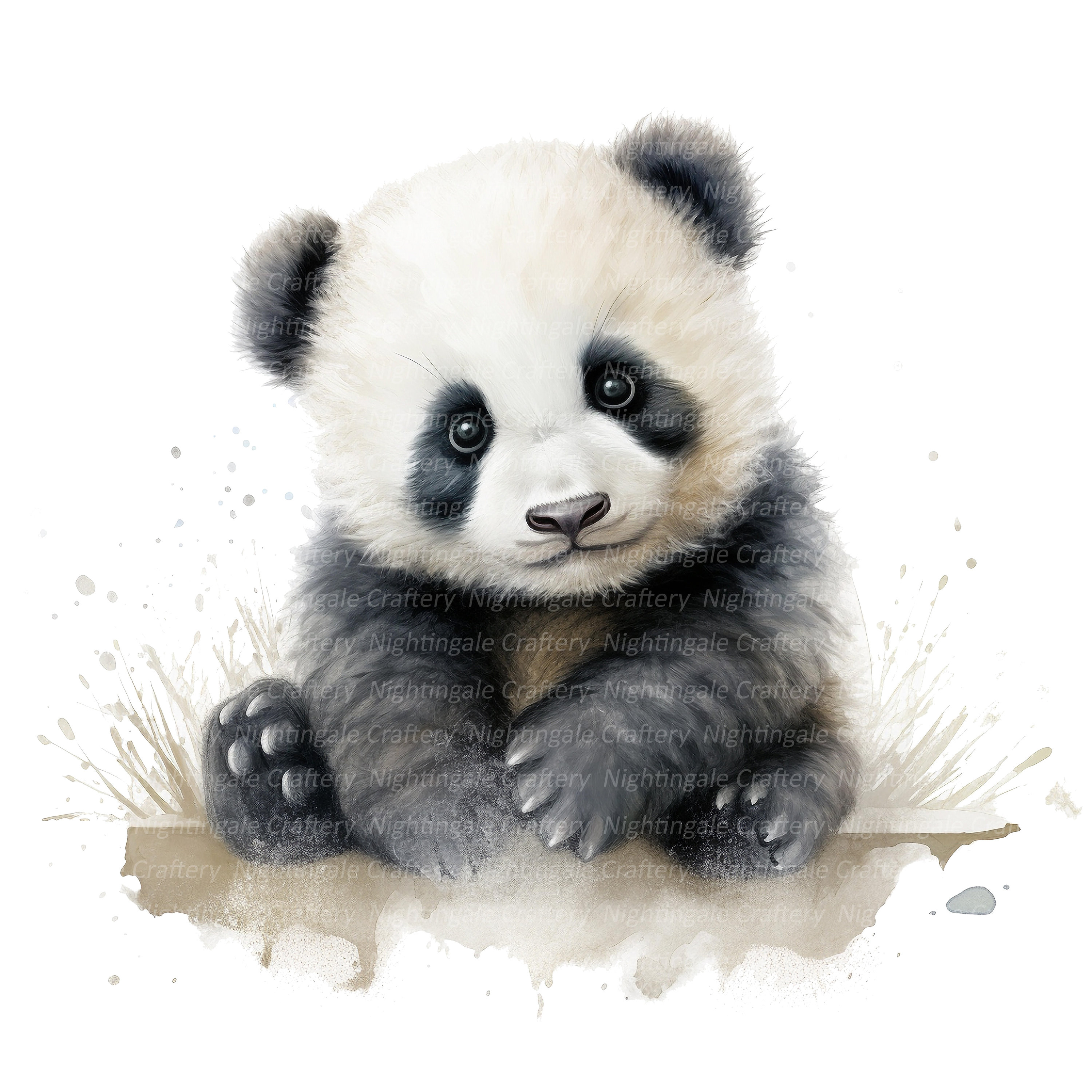 12 Panda Baby Clipart Printable Watercolor Clipart High - Etsy Australia