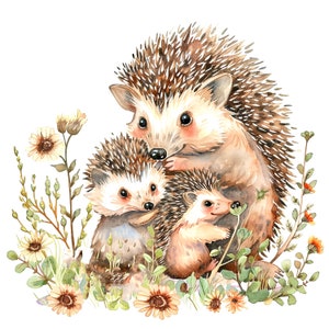 9 Hedgehog Family Cartoon Clipart, Boho Hedgehog, Printable Watercolor ...