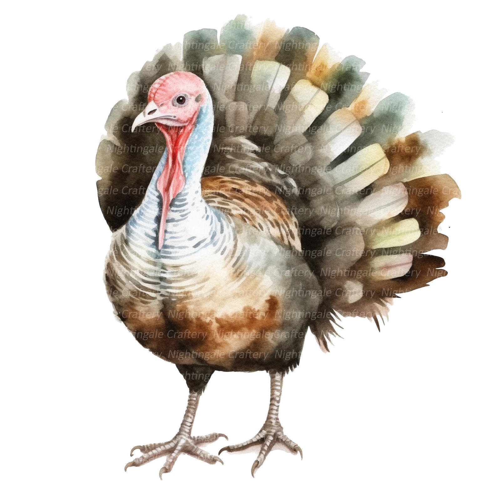 14 Turkey Clipart, Thanksgiving Clipart, Printable Watercolor Clipart ...