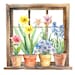 13 Spring Flowers Windows Clipart, Flowerpots, Printable Watercolor ...