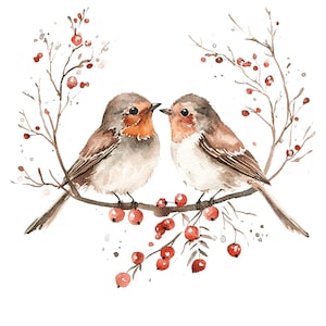 10 Christmas Birds Clipart, Red Cardinal, Robin, Printable Watercolor ...