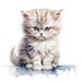 12 Grumpy Sad Kitten Clipart, Cat Clipart, Printable Watercolor Clipart ...