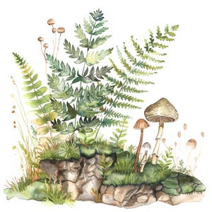 10 Botanical Ferns Clipart, Fern Moss Decor, Printable Watercolor ...