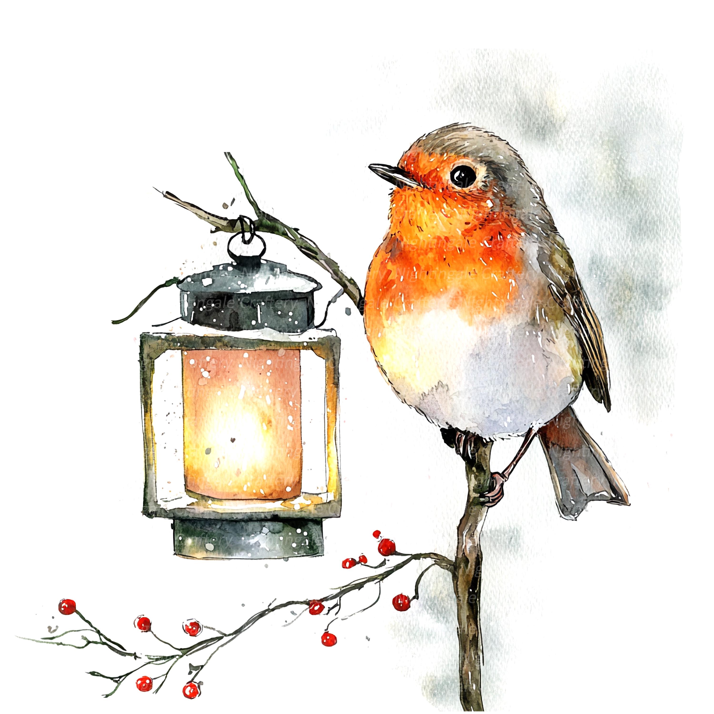 12 Robin and Lantern Clipart, Christmas Robin, Printable Watercolor ...