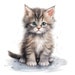 16 Wet Kitten Clipart, Wetted Kitten, Printable Watercolor Clipart ...