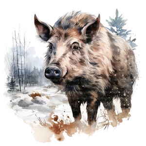 12 Wild Boar in Winter Clipart, Printable Watercolor Clipart, High ...