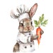 8 Bunny Chef Clipart, Cook Clipart, Printable Watercolor Clipart, High ...