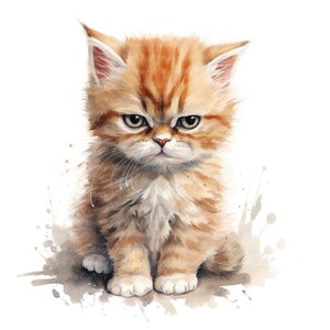 12 Grumpy Sad Kitten Clipart, Cat Clipart, Printable Watercolor Clipart ...