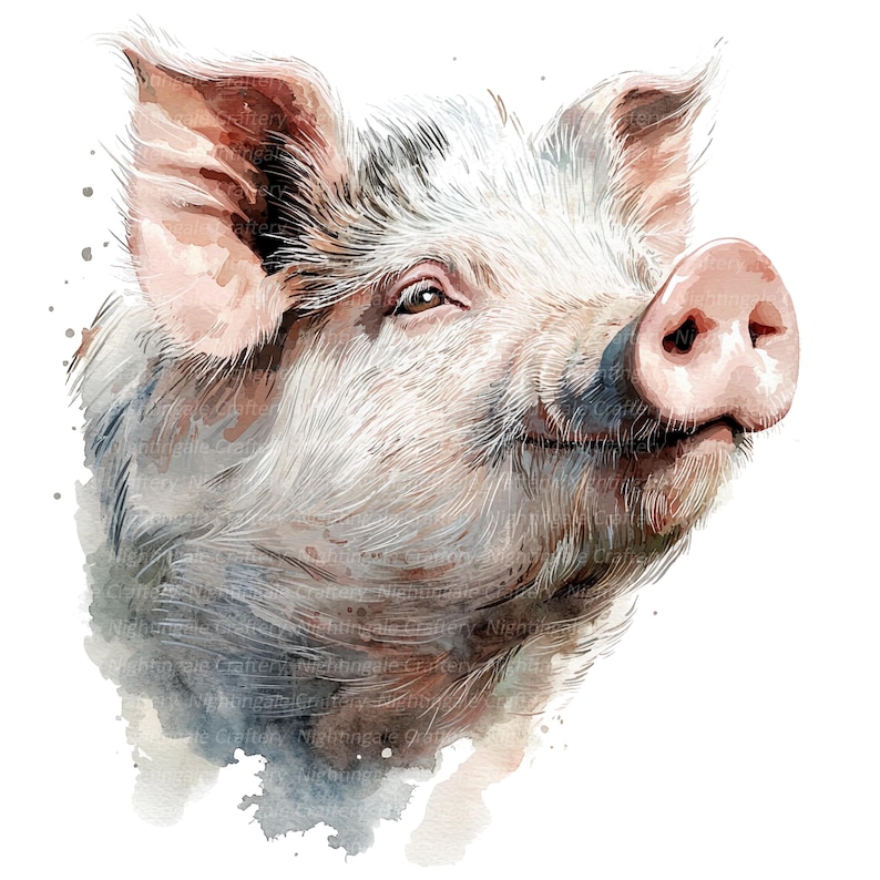 10 Farmyard Pig Clipart, Pig Sublimation, Printable Watercolor Clipart ...