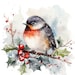 12 Special Christmas Robin Clipart, Printable Watercolor Clipart, High ...