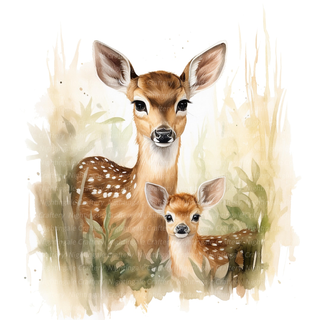 10 Fawn With Baby, Fawn in Forest Clipart, Printable Watercolor Clipart ...