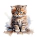 12 Grumpy Sad Kitten Clipart, Cat Clipart, Printable Watercolor Clipart ...