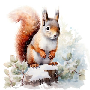 12 Cute Squirrel in Winter Clipart, Printable Watercolor Clipart, High ...