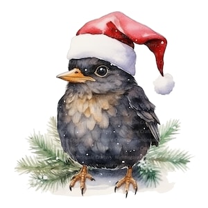 12 Christmas Blackbird Clipart, Black Bird, Printable Watercolor ...
