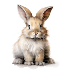 10 PNG Fluffy Bunny Clipart, Rabbit Clipart, Printable Watercolor ...