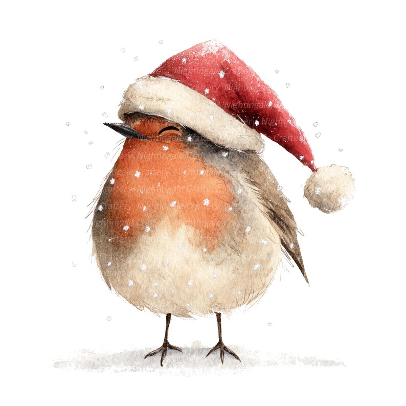 10 Christmas Robin Clipart, Christmas Card, Printable Watercolor ...