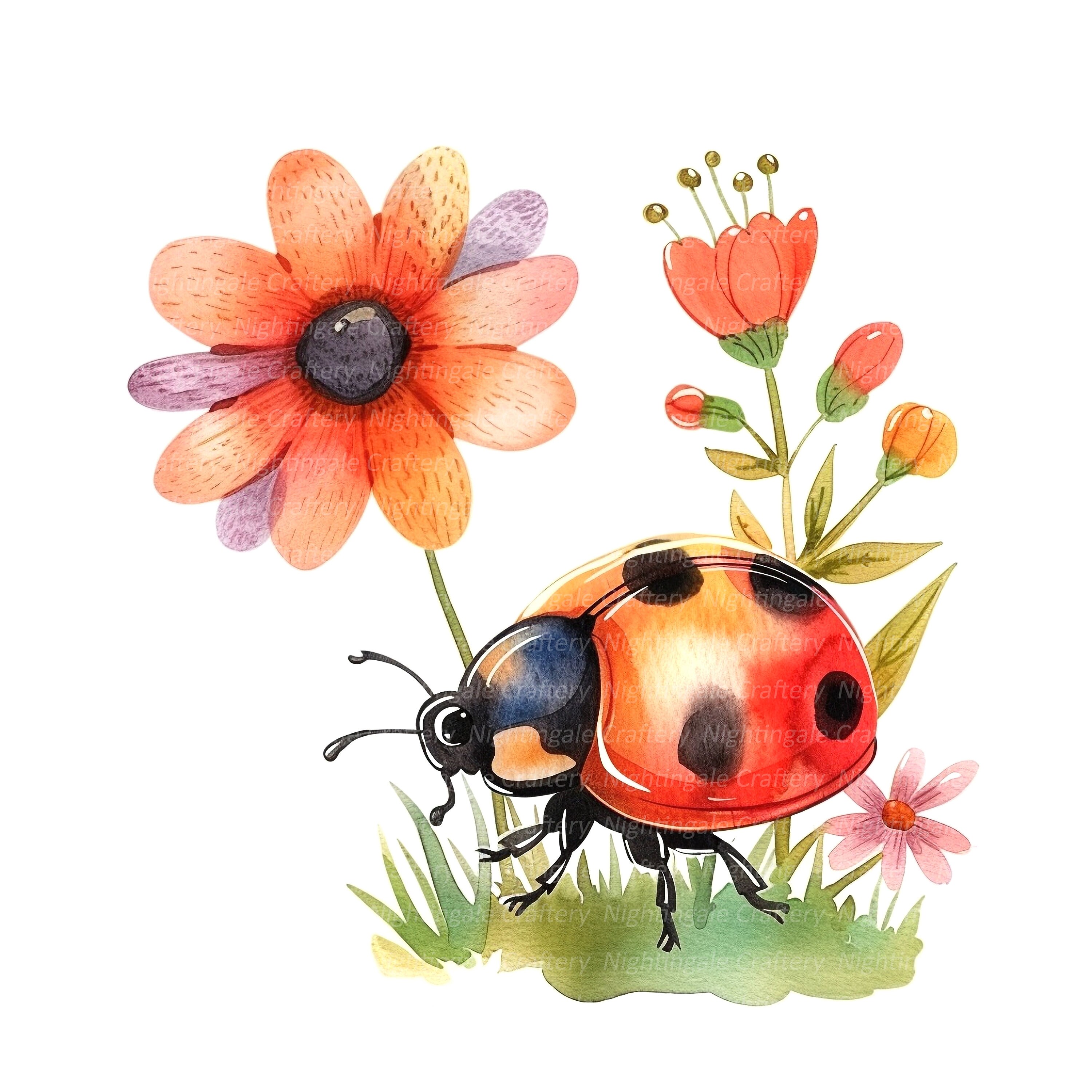 12 Ladybird on Flower Clipart, Watercolor Ladybird Clipart, Printable ...