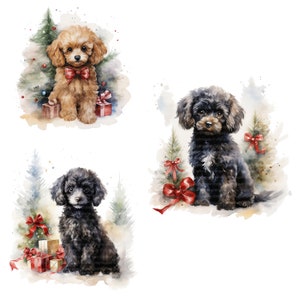 14 Christmas Poodle Clipart, Pudel, Printable Watercolor Clipart, High ...