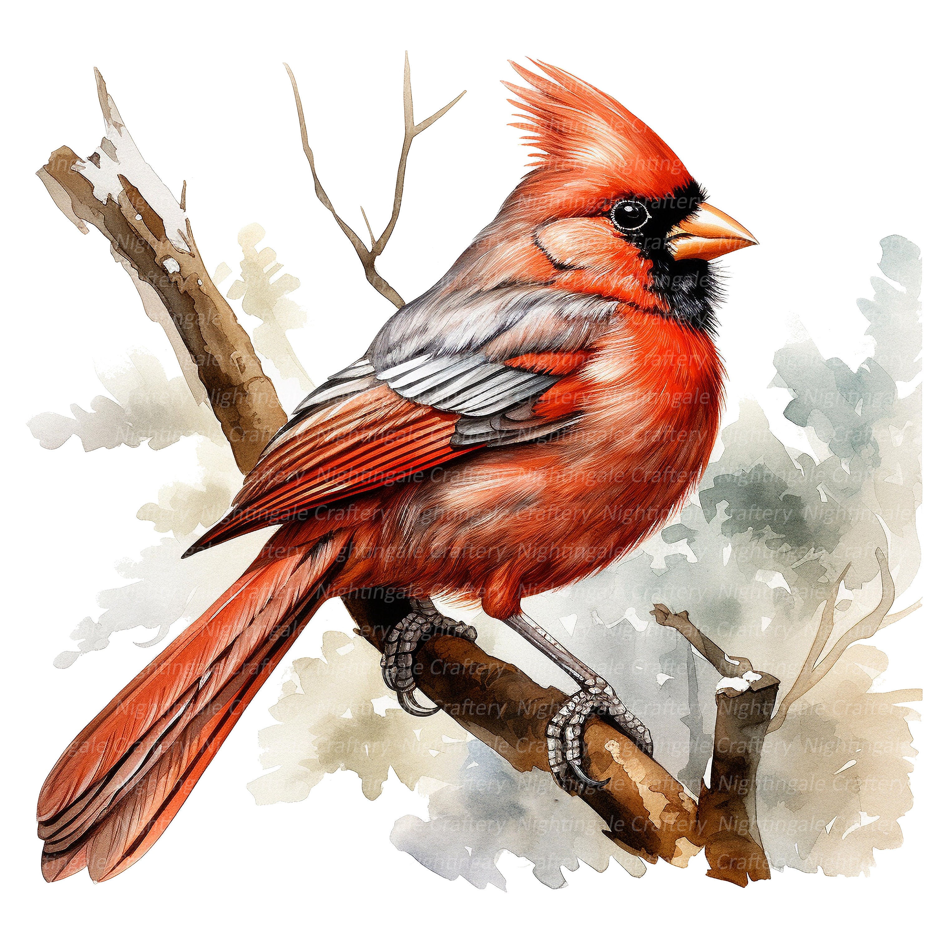 10 Red Cardinal Bird Clipart Printable Watercolor Clipart - Etsy