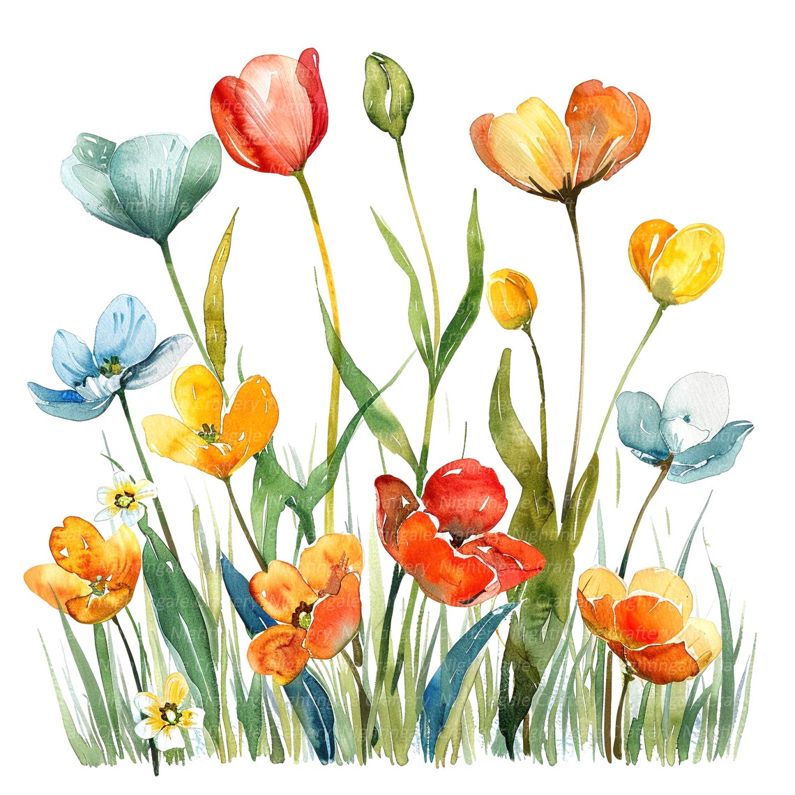 10 Spring Flowers Clipart, Tulips Clipart, Printable Watercolor Clipart ...