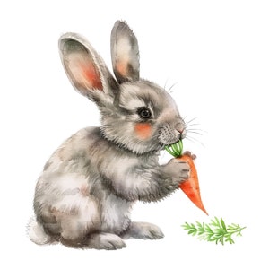 8 Bunny With Carrot Clipart, Cartoon Bunny, Printable Watercolor ...