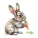 8 Bunny With Carrot Clipart, Cartoon Bunny, Printable Watercolor ...