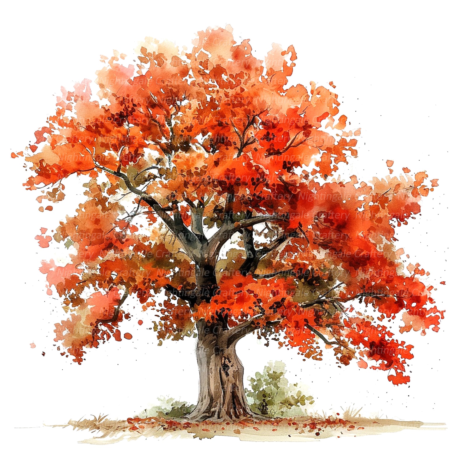 12 Oak Tree Clipart, Oak Clipart, Autumn Oak, Printable Watercolor ...