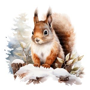 12 Cute Squirrel in Winter Clipart, Printable Watercolor Clipart, High ...