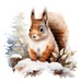 12 Cute Squirrel in Winter Clipart, Printable Watercolor Clipart, High ...