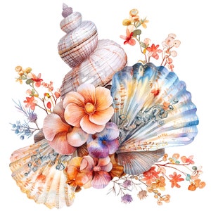 10 Floral Seashells Clipart, Sea Shells Clipart, Printable Watercolor ...