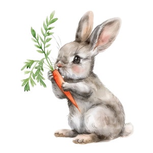 8 Bunny With Carrot Clipart, Cartoon Bunny, Printable Watercolor ...