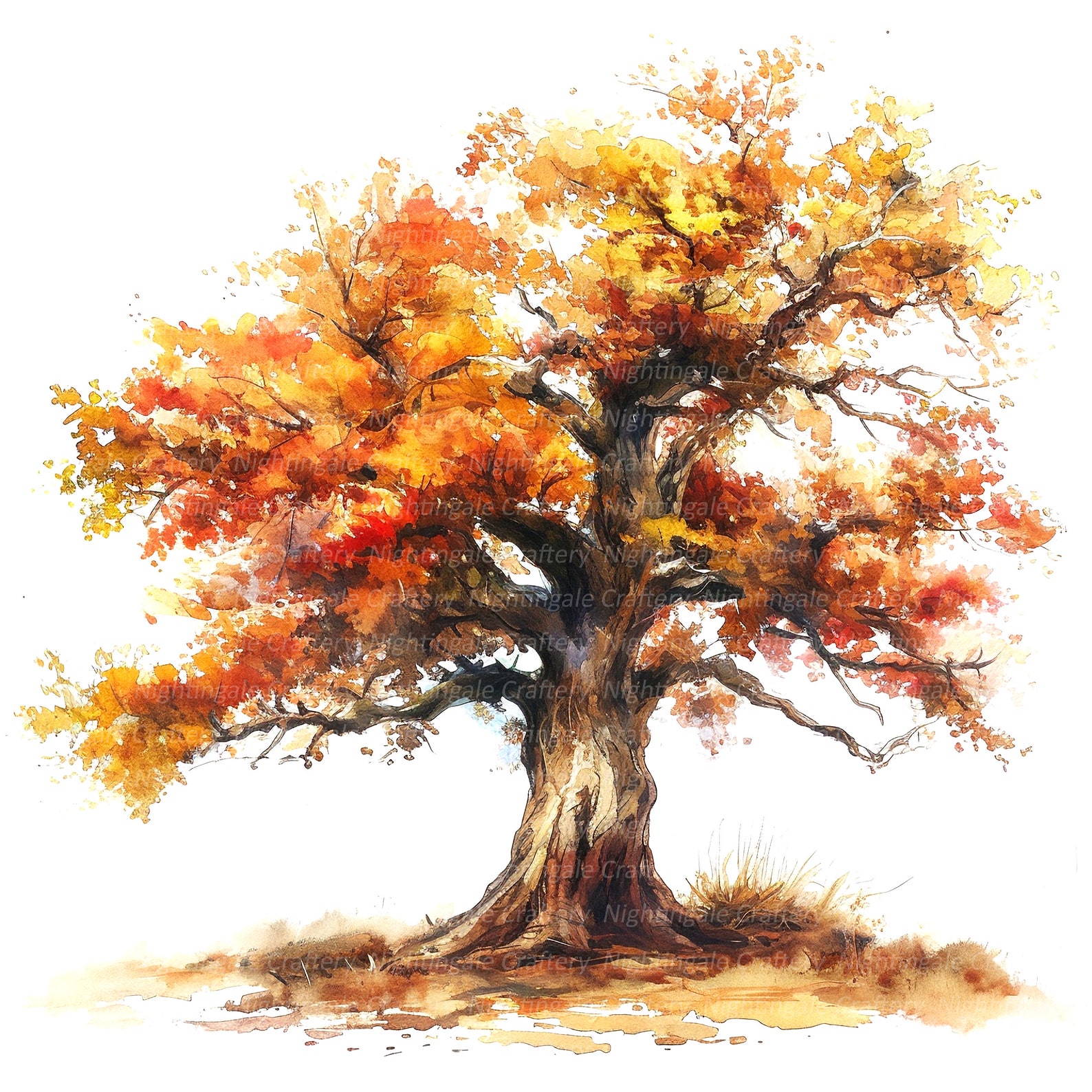 12 Oak Tree Clipart, Oak Clipart, Autumn Oak, Printable Watercolor ...