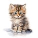 16 Wet Kitten Clipart, Wetted Kitten, Printable Watercolor Clipart ...