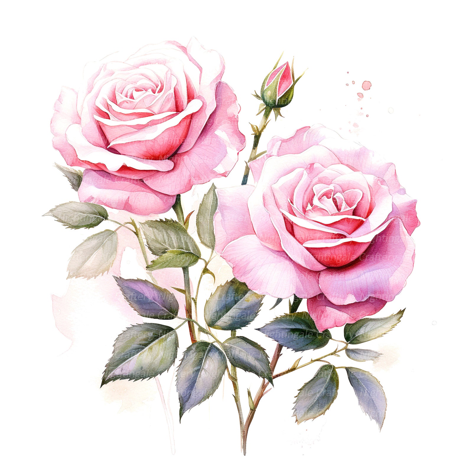 10 Pink Roses Set 2 Clipart, Roses Bouquet, Printable Watercolor ...