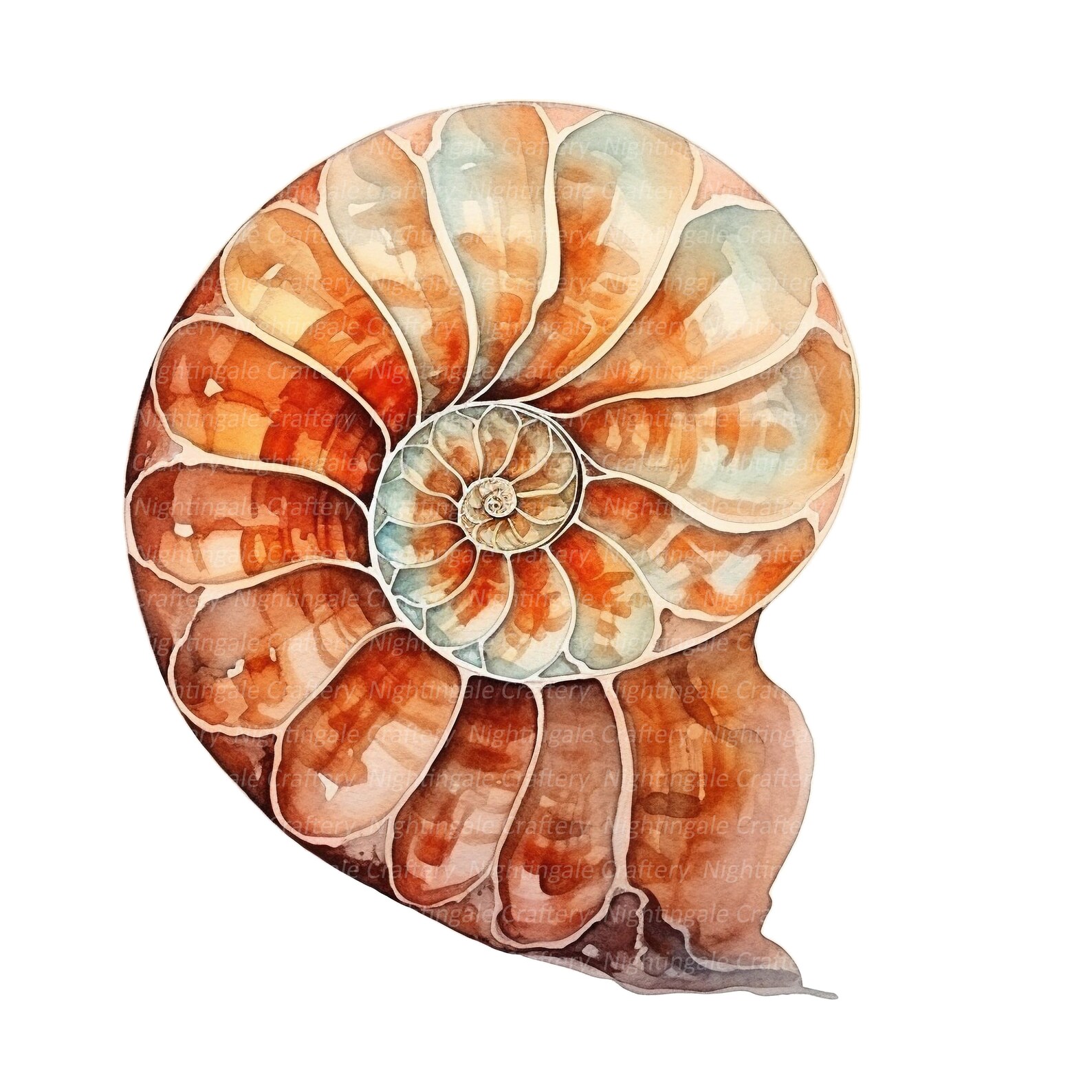 8 Ammonite Fossil Clipart, Fossils Clipart, Printable Watercolor ...