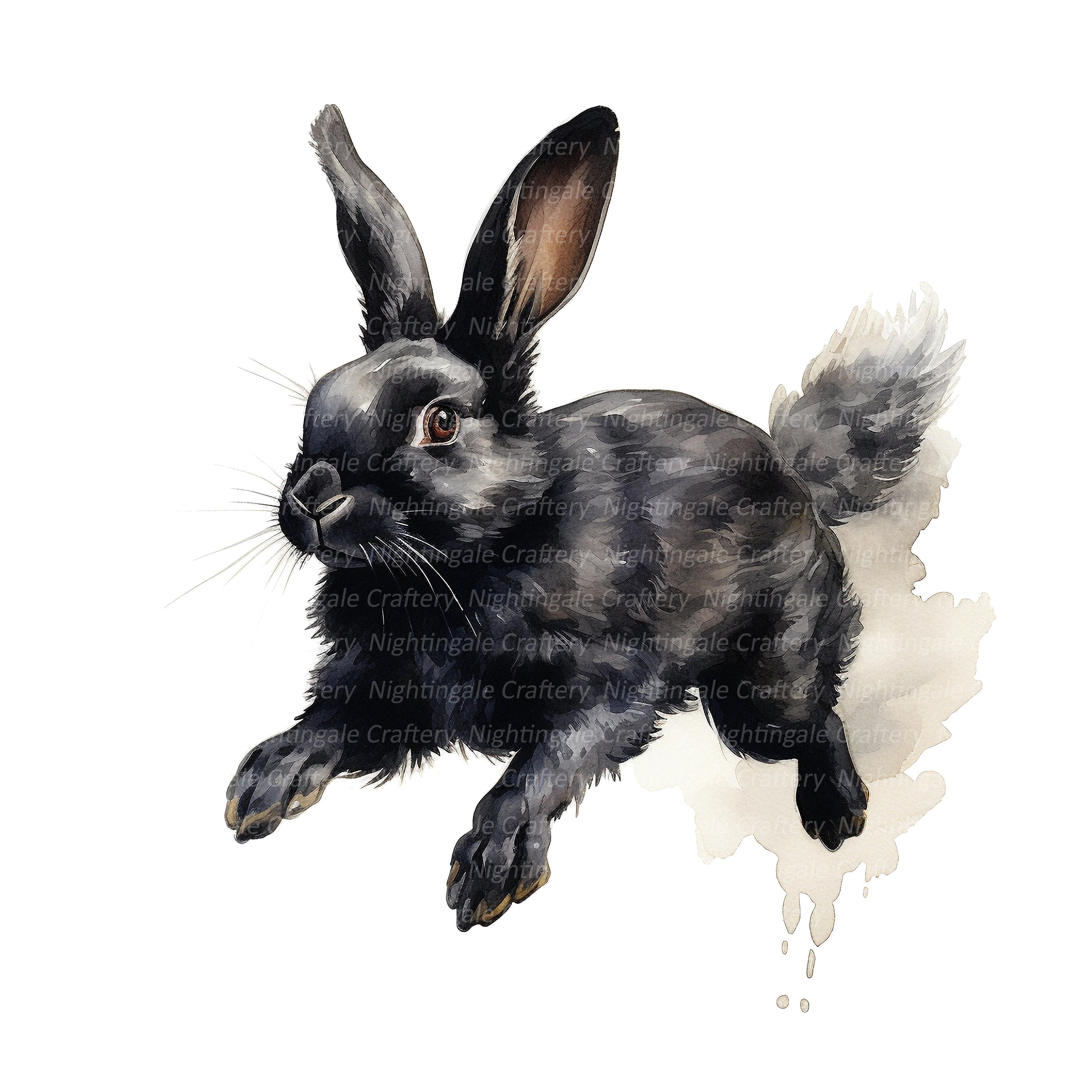 10 Black Bunny Clipart Black Rabbit Clipart Printable - Etsy Australia