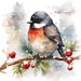 12 Special Christmas Robin Clipart, Printable Watercolor Clipart, High ...