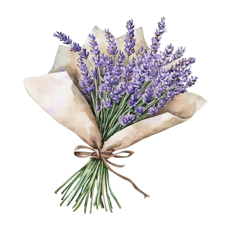 Lavender Clipart, Lavender Bouquet Set, Printable Watercolor Clipart ...