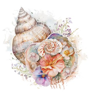 14 Floral Sea Shells Clipart, Seashell Clipart, Printable Watercolor ...